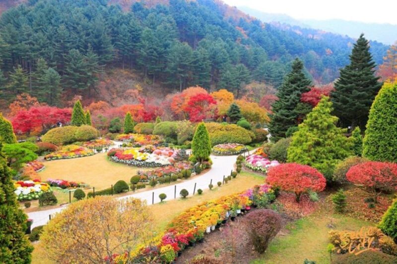 Seoul: Nami and Petite France Tour with Optional K-Garden - A Deep Dive into the Tour Experience