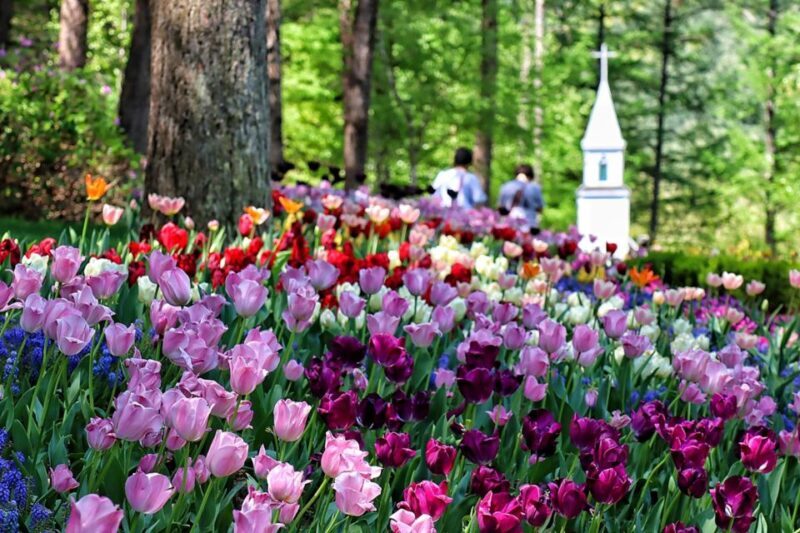 Seoul: Nami and Petite France Tour with Optional K-Garden - FAQ
