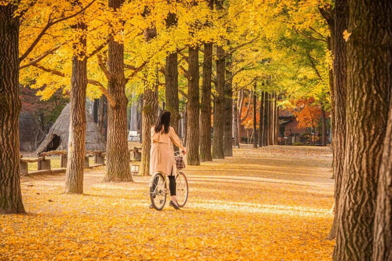 Seoul: Nami Island and Garden of Morning Calm (opt Railbike) - An In-Depth Look at the Tour Experience