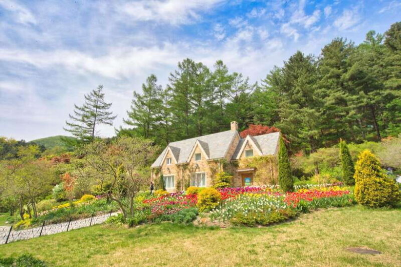 Seoul: Nami Island and Garden of Morning Calm (opt Railbike) - The Sum Up: Is This Tour Worth It?