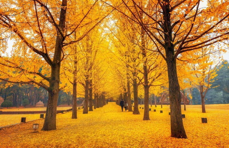 Seoul: Nami Island and Garden of Morning Calm (opt Railbike) - FAQs