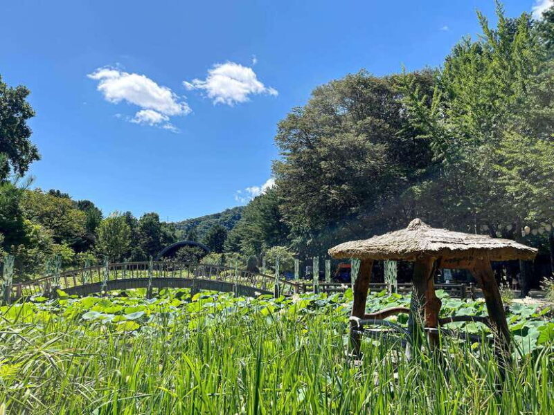 Seoul: Nami Island & Petite France Tour with Railbike Option - Key Points