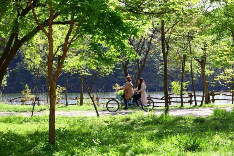 Seoul: Nami Island & Petite France Tour with Railbike Option - Who Will Love This Tour?