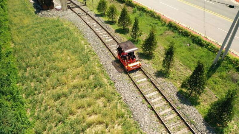 Seoul: Nami Island & Railbike & Begonia Bird Park Day Tour - The Opening: A Well-Organized Day Out