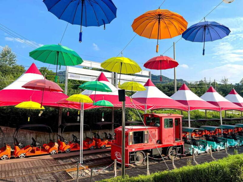 Seoul: Nami Island & Railbike & Begonia Bird Park Day Tour - Nami Island: The Tree-Lined Escape