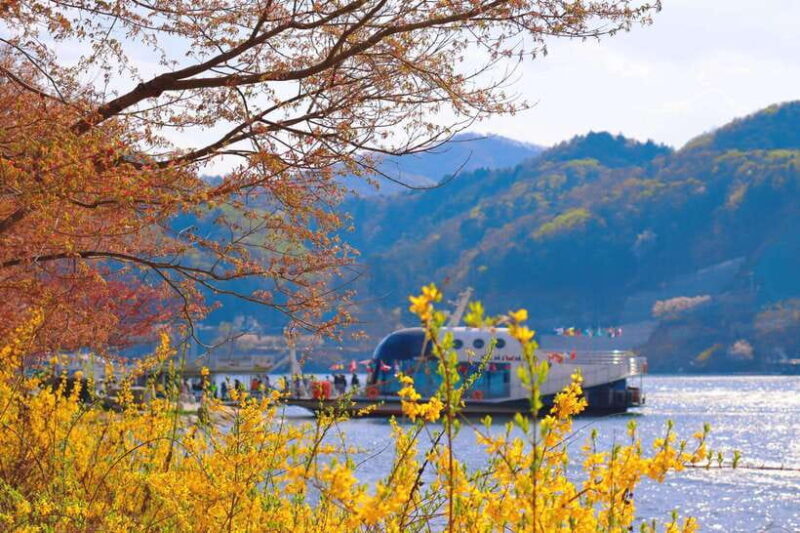 Seoul: Nami Island & Railbike & Begonia Bird Park Day Tour - Riding the Gangchon Railbike