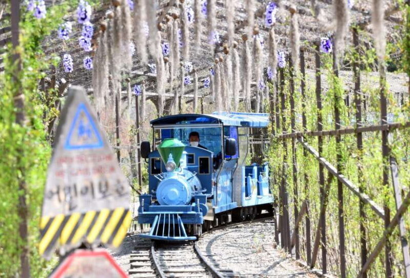 Seoul: Nami Island & Railbike & Begonia Bird Park Day Tour - Is It Worth the Price?