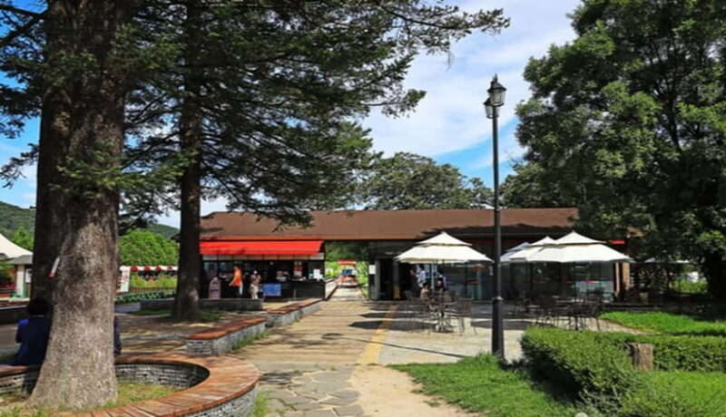 Seoul: Nami+Hanbok+Waterfall(+RailBike or Strawberry)Tour - Key Points