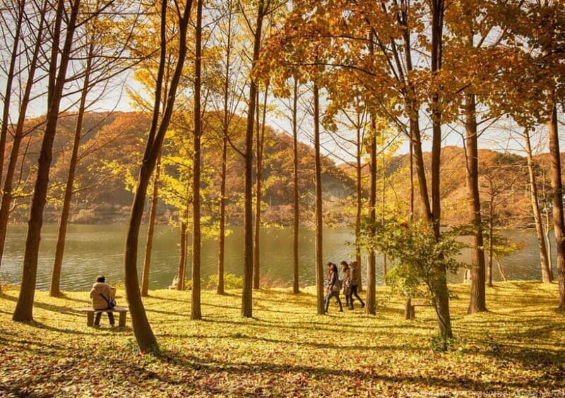 Seoul: Nami+Hanbok+Waterfall(+RailBike or Strawberry)Tour - The Itinerary Breakdown: What Youll Actually Do