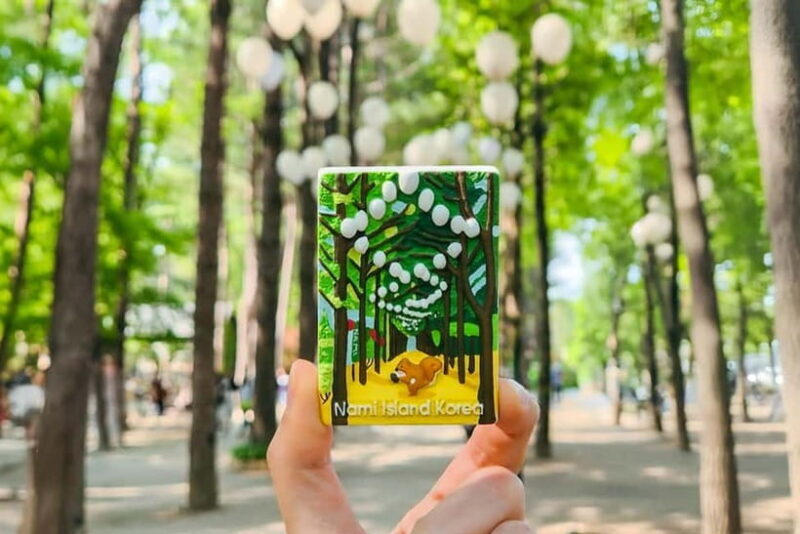 Seoul: Nami+Hanbok+Waterfall(+RailBike or Strawberry)Tour - Authentic Experiences and Literature from Reviews