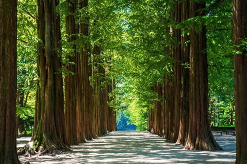 Seoul: Nami+Hanbok+Waterfall(+RailBike or Strawberry)Tour - Who Should Consider This Tour?