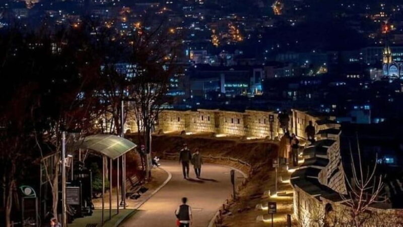Seoul: Night Tour with Coffee and Market Visit - Naksan Park Fortress: A Walk Through Time