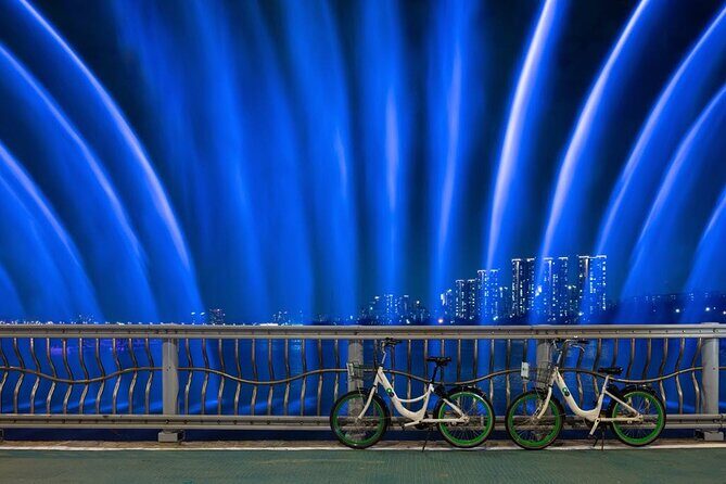 Seoul Night Tour with Han River Cruise and Gyeongbokgung Palace - Final Thoughts: Who Will Love This Tour?