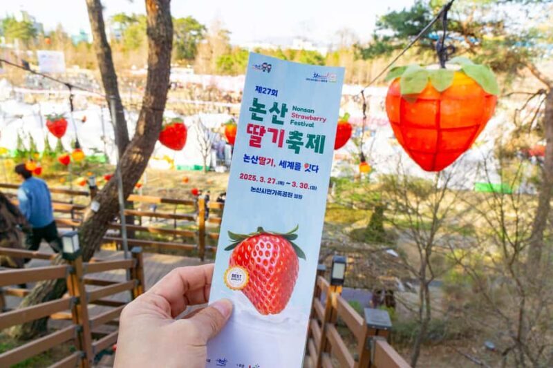 Seoul: Nonsan Strawberry & Cherry Blossom Season Experience - Final Thoughts: Is It Worth It?
