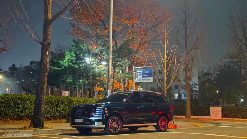 Seoul: Oak Valley Private Ski Day Tour - Key Points