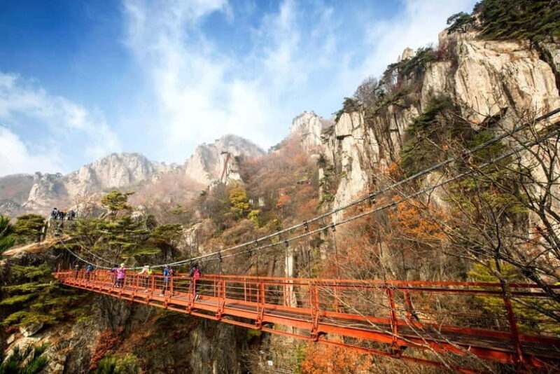 Seoul: Odaesan or Daedunsan Park Autumn Foliage Day Tour - An Overview of the Tour Options