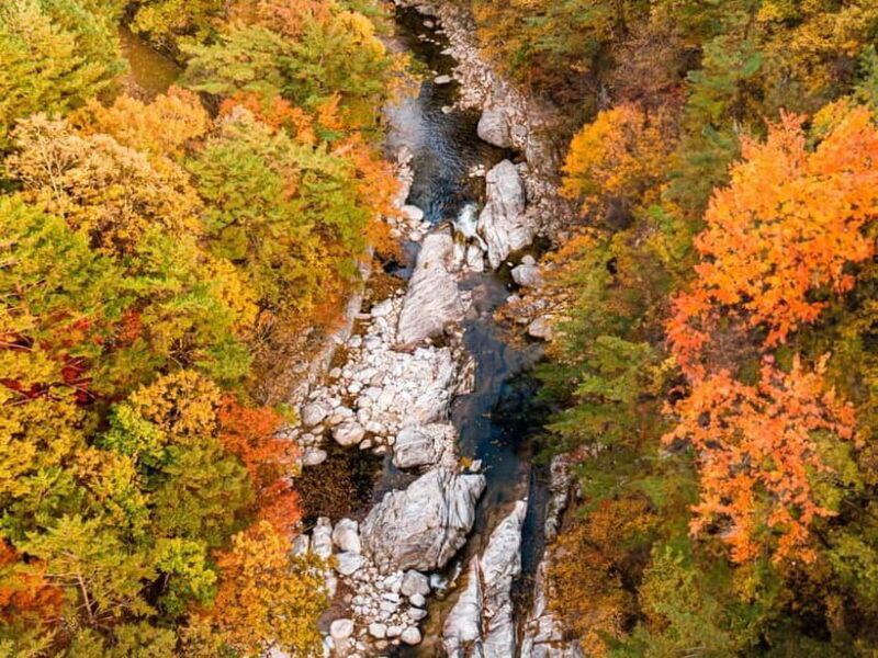 Seoul: Odaesan or Daedunsan Park Autumn Foliage Day Tour - What to Expect on the Day