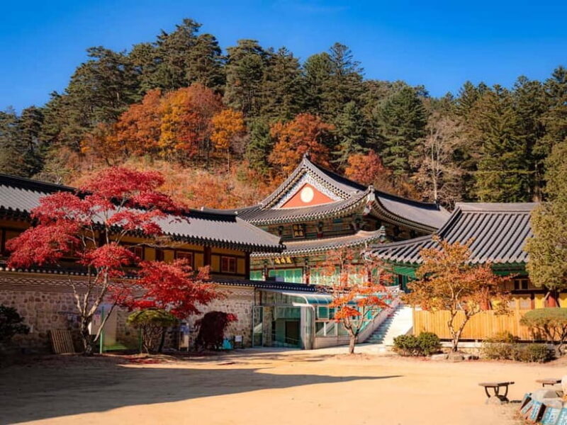 Seoul: Odaesan or Daedunsan Park Autumn Foliage Day Tour - Final Thoughts