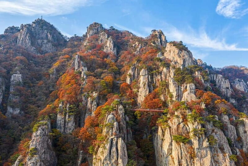 Seoul: Odaesan or Daedunsan Park Autumn Foliage Day Tour - FAQ