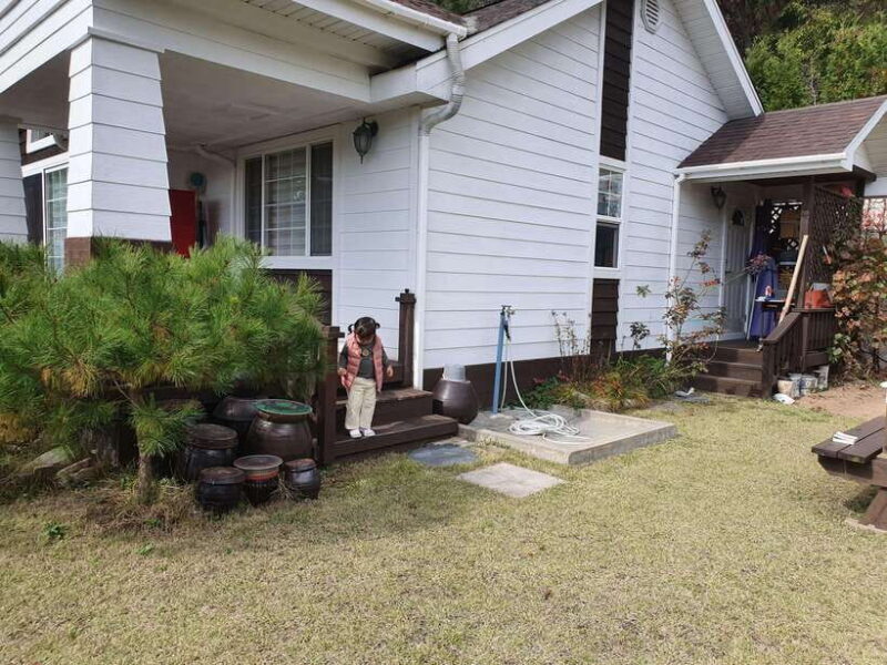 Seoul : One day Customizable Private Driver Car Tour /JP - Authentic Experiences and Practicalities