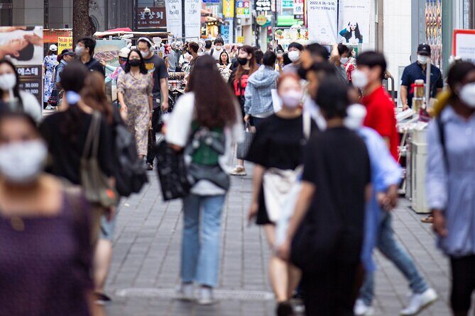 Seoul Private Car & Driver 9h Custom Day with Pickup - The Sum Up