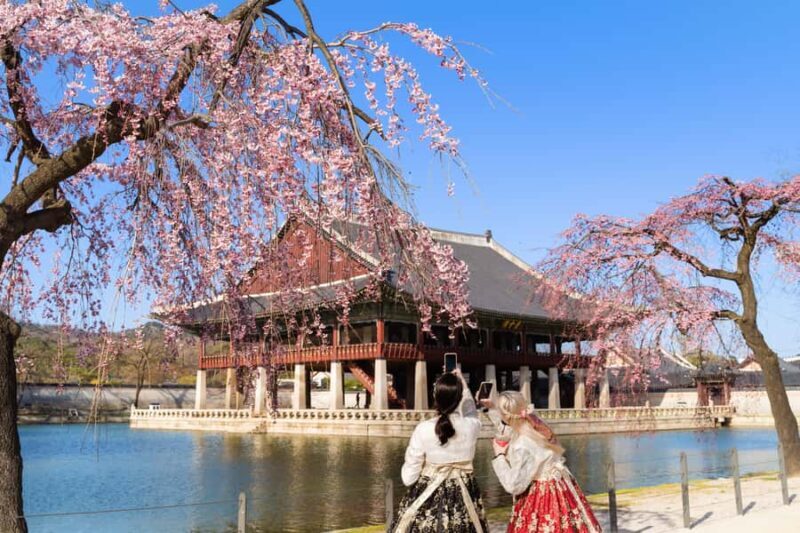 Seoul: Private City Tour with Guide and Photos - An Introduction to Your Personalized Seoul Adventure