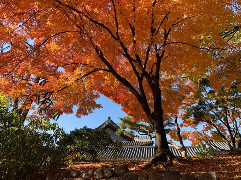 Seoul Private Layover Tour from the Airport with a Local - An In-Depth Look at the Seoul Layover Tour