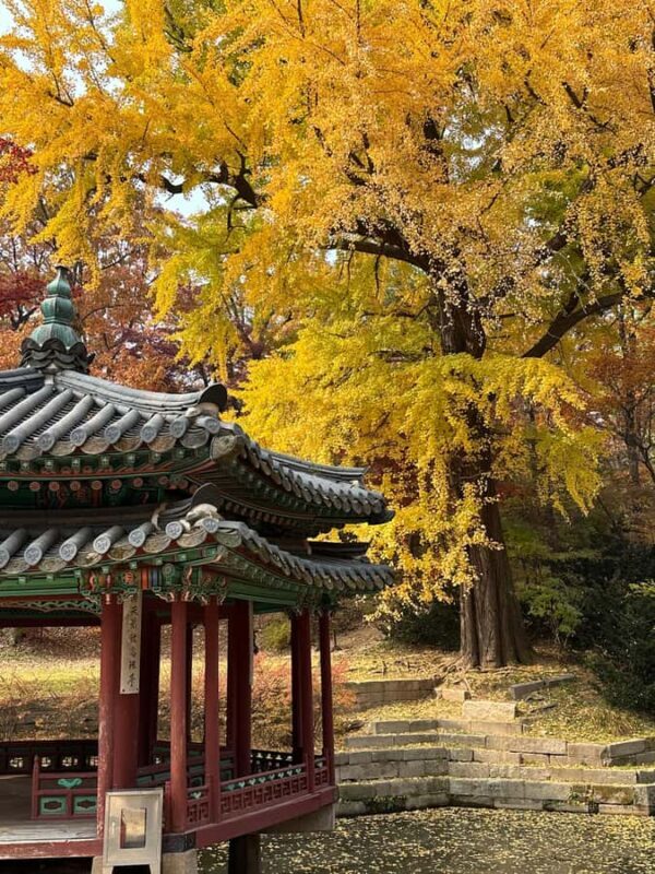 Seoul Private Layover Tour from the Airport with a Local - Who Will Love This Tour?