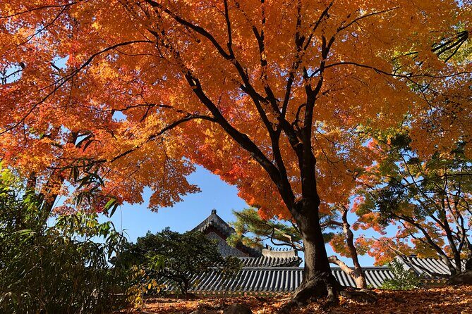 Seoul Private Layover Tour from the Airport with a Local - Final Thoughts