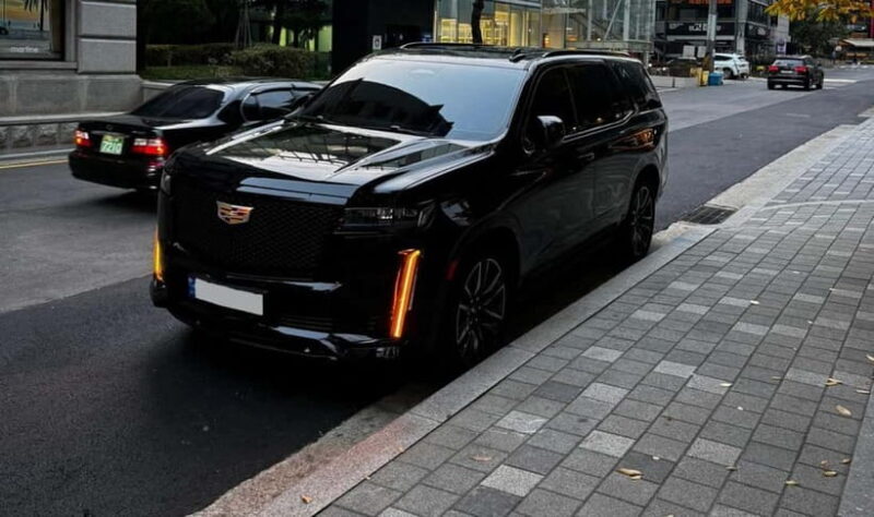 Seoul: Private Luxury Vehicle Tour - English/Spanish guiding - Itinerary Options and Flexibility