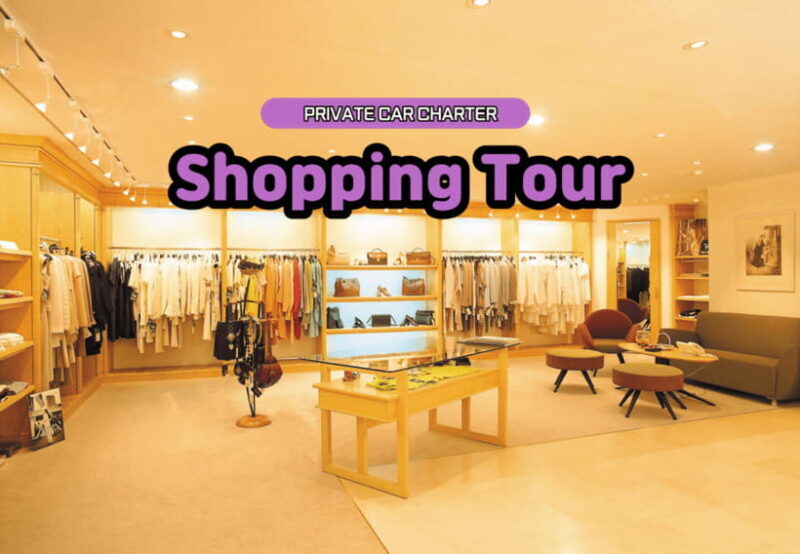 Seoul: Private Shopping Tour - The Sum Up