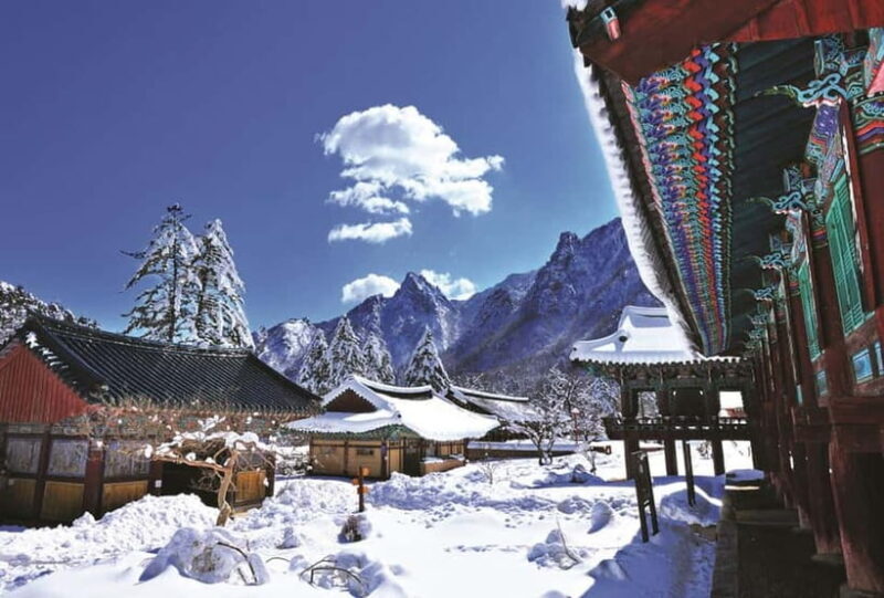 Seoul: Private Taxi Tour Car Charter - Nami Alpaca Seorak - Authentic Experiences and Testimonials