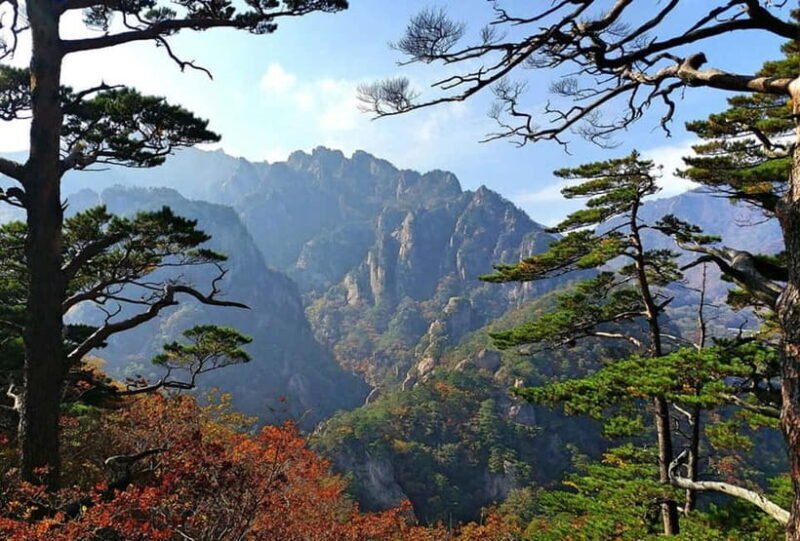 Seoul: Private Taxi Tour Car Charter - Nami Alpaca Seorak - The Practicalities: Cost, Booking, and Tips