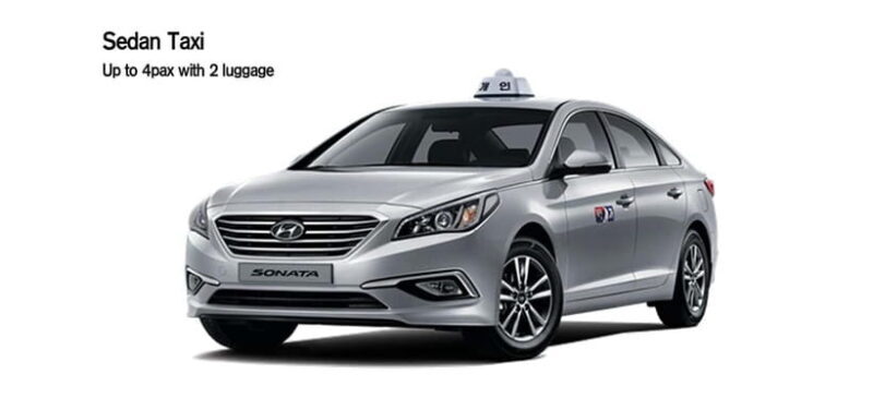 Seoul: Private Taxi Tour Car Charter - Nami Alpaca Seorak - Final Thoughts