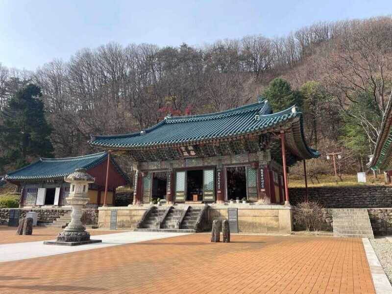 Seoul: Seorak Mountain, East DMZ, and Sokcho Tour - Authentic Experiences Highlighted by Reviews