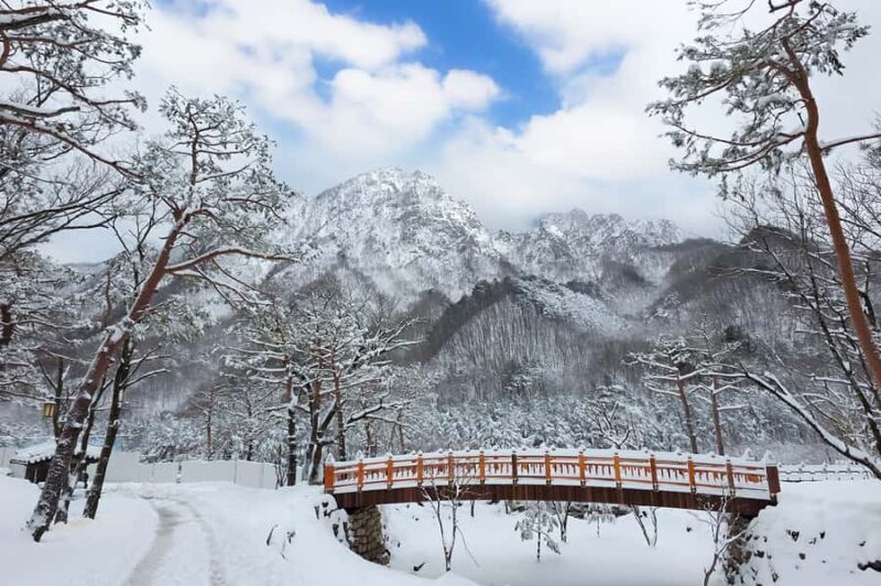 Seoul: Seorak Mountain, Nami Island, Eobi Ice Valley Tour - The Itinerary: What You Can Expect