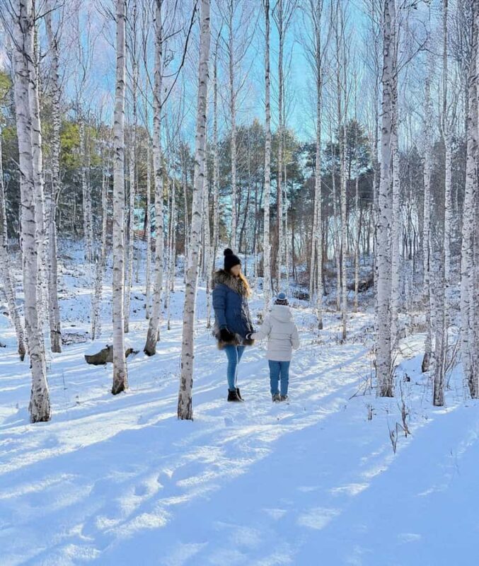 Seoul: Seorak Snowy Birch Forest & Maebawi Icewall Day Tour - Key Points