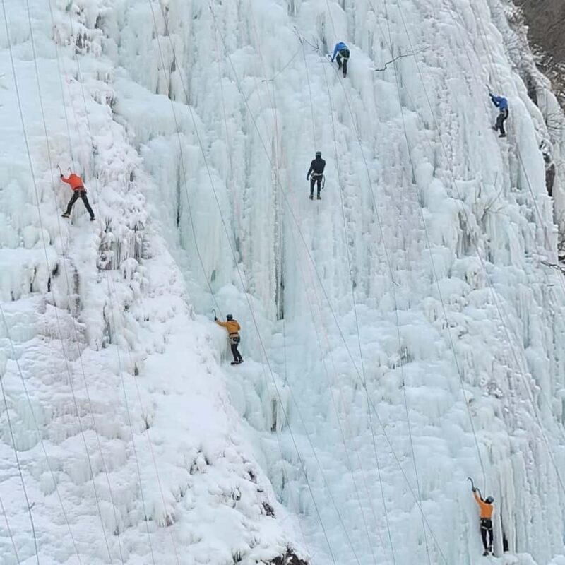 Seoul: Seorak Snowy Birch Forest & Maebawi Icewall Day Tour - The Sum Up