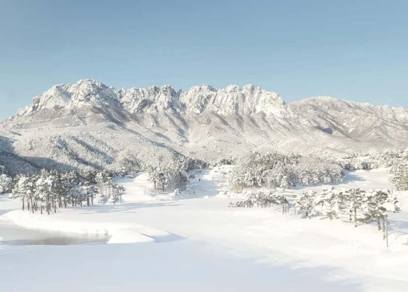 Seoul: Seoraksan National Park & Nami Island - In-Depth Review: What to Expect and What You’ll Love