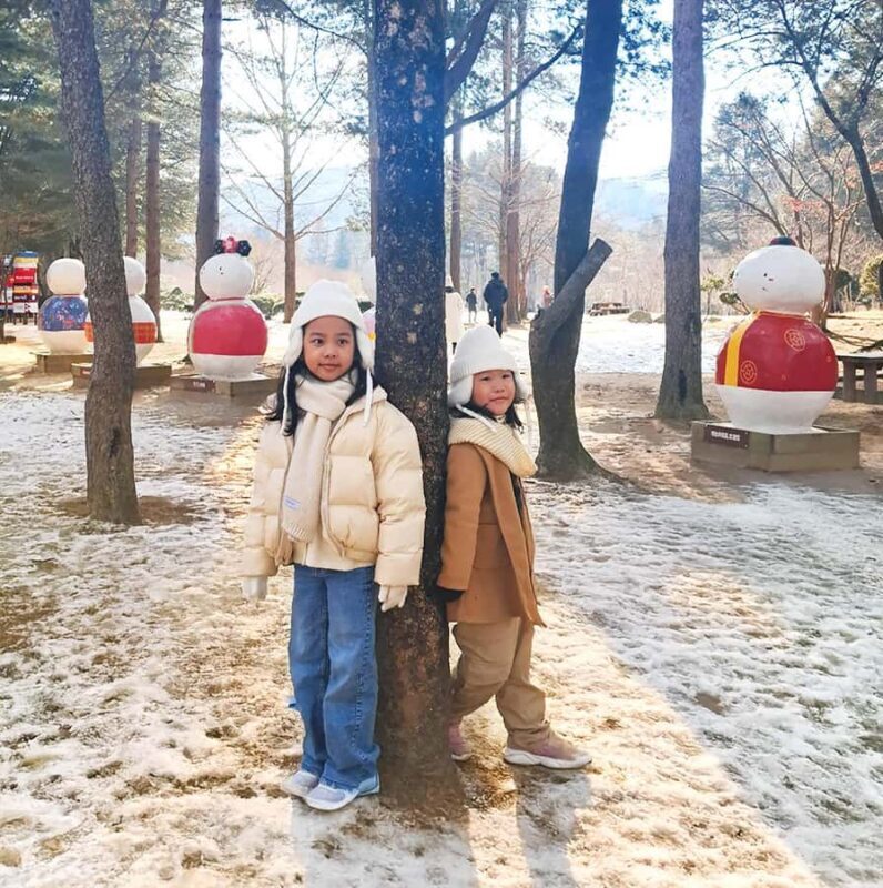 Seoul: Seoraksan National Park & Nami Island - Frequently Asked Questions
