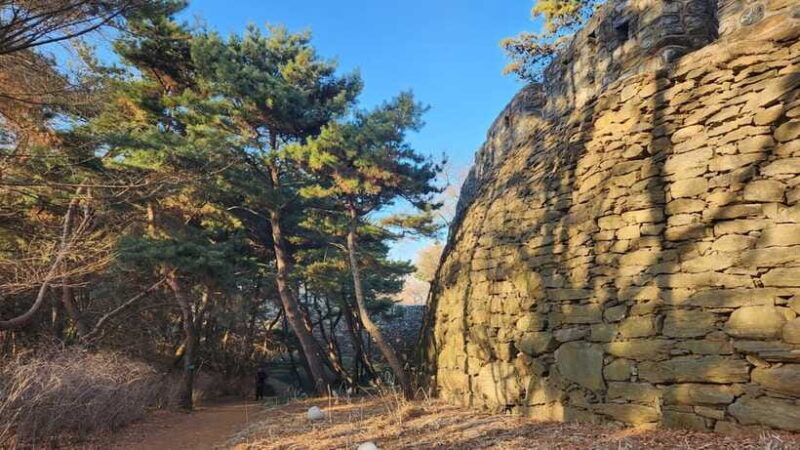 Seoul: Services of a Local for a Day (Paperwork/Tour/Fun) - Why This Experience Is Worth Considering