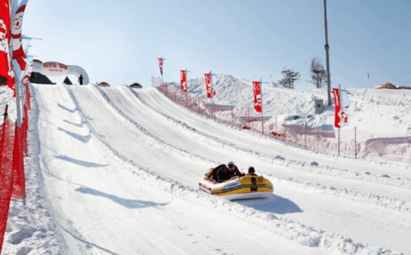 Seoul: SnowyLand in Vivaldi Park with Nami or Alpaca - Final Thoughts