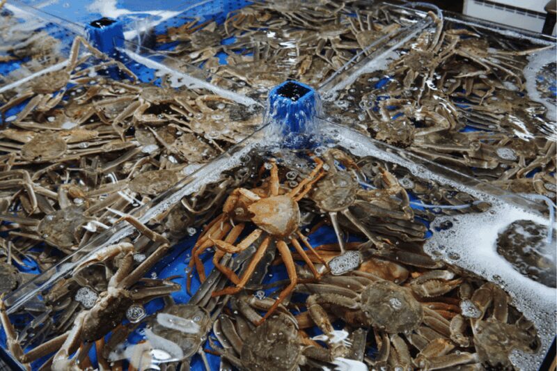 Seoul: Sokcho beach, market, hot spring and Seorak Cable Car - Authentic Views from Genuine Travelers