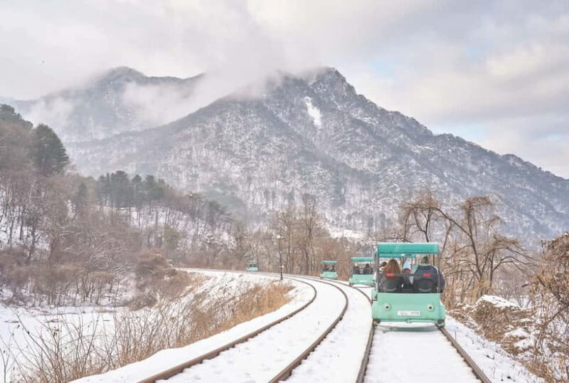 Seoul: Strawberry & Eobi Ice Valley & Nami + Optional Spots - Key Points