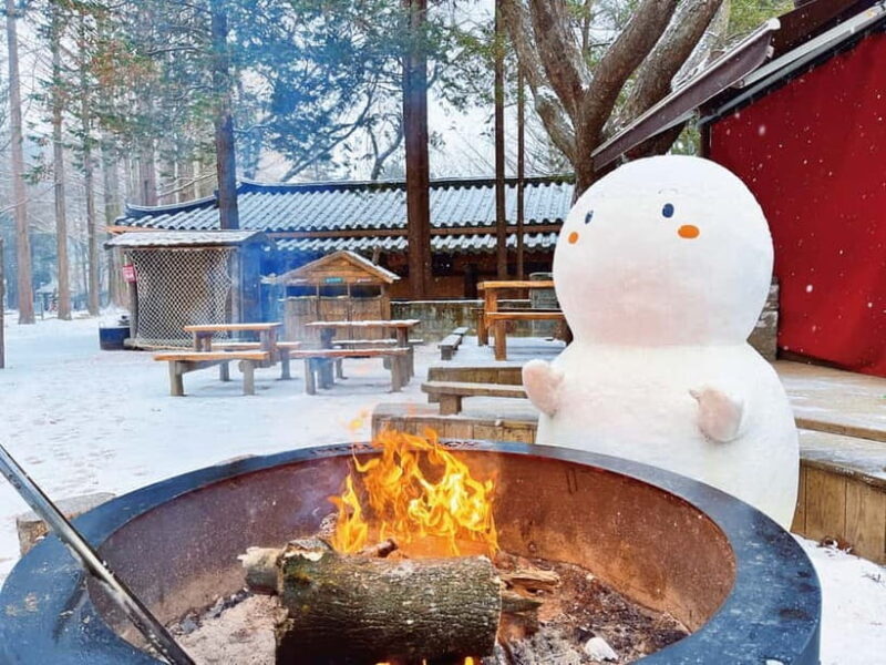 Seoul: Strawberry & Eobi Ice Valley & Nami + Optional Spots - The Experience from a Traveler’s Perspective