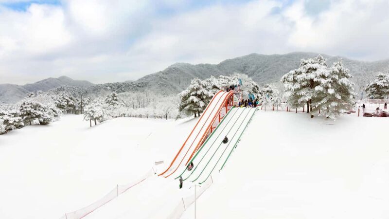 Seoul: Strawberry Picking, Winter Sled with Eobi Ice Valley - An In-Depth Look at the Tour Experience
