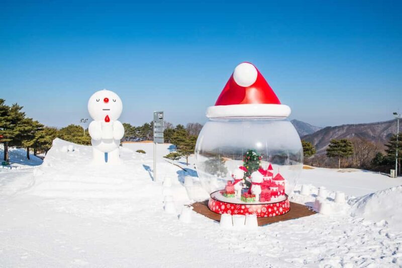 Seoul: Strawberry Picking, Winter Sled with Eobi Ice Valley - The Natural and Seasonal Appeal