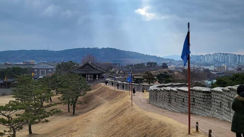 Seoul: Suwon Hwaseong and exotic food Private Chartered Tour - Key Points