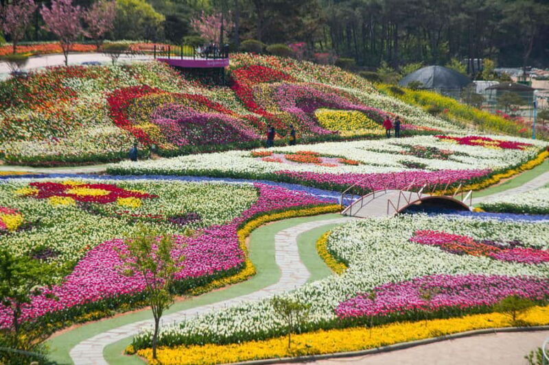 Seoul: Taean Tulip Festival and Strawberry Picking Day Tour - FAQs
