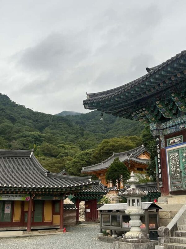 Seoul: "Taste Korea Slow" Full Day Escape & Wellness Tour - Who Will Love This Tour?